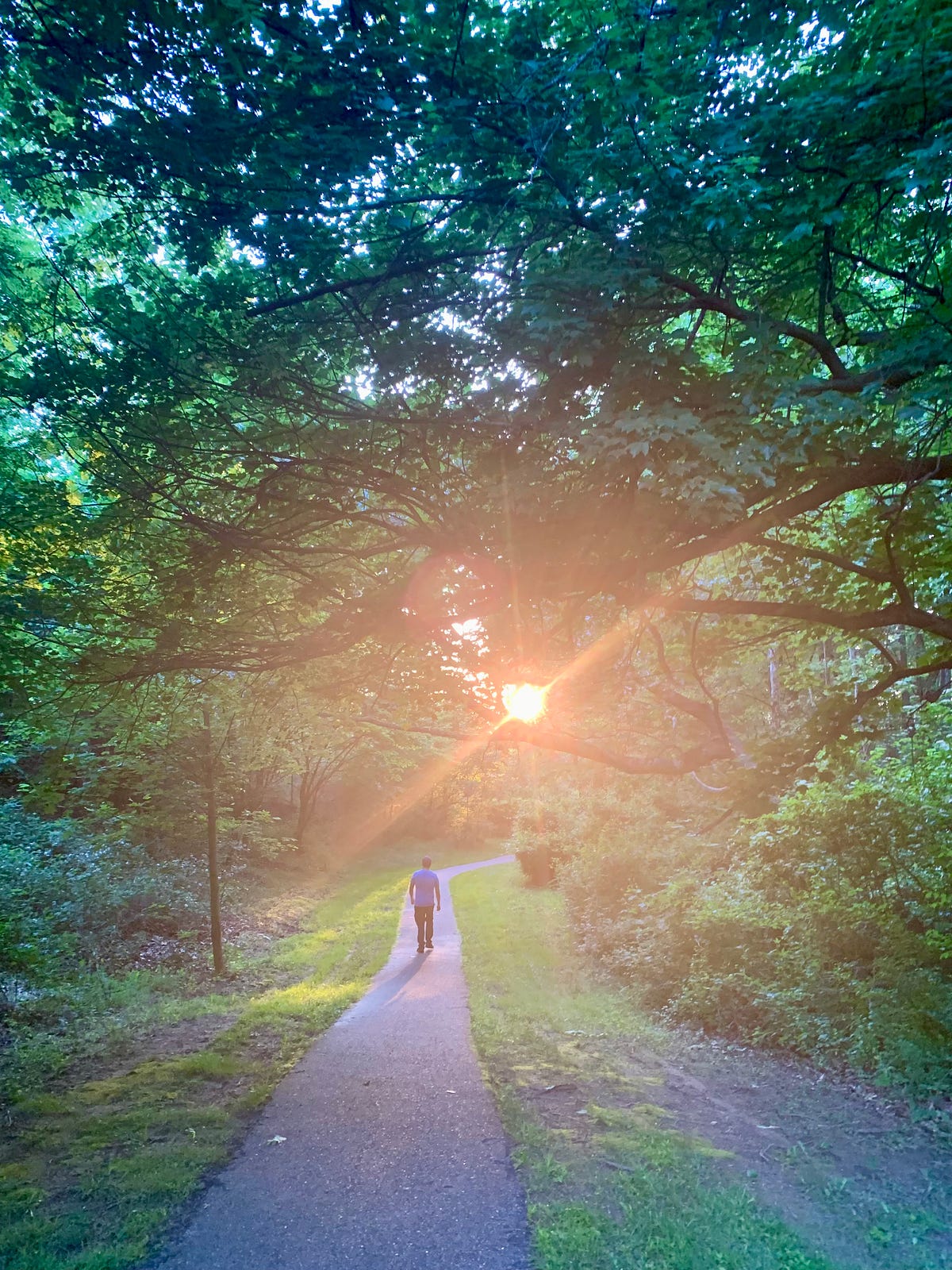 A Spring Nature Walk - Simply Photos - Medium