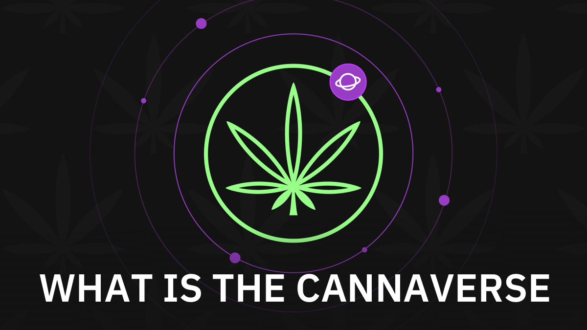 What is the Cannaverse?. The Cannaverse is a multi-faceted… | by GROW ...