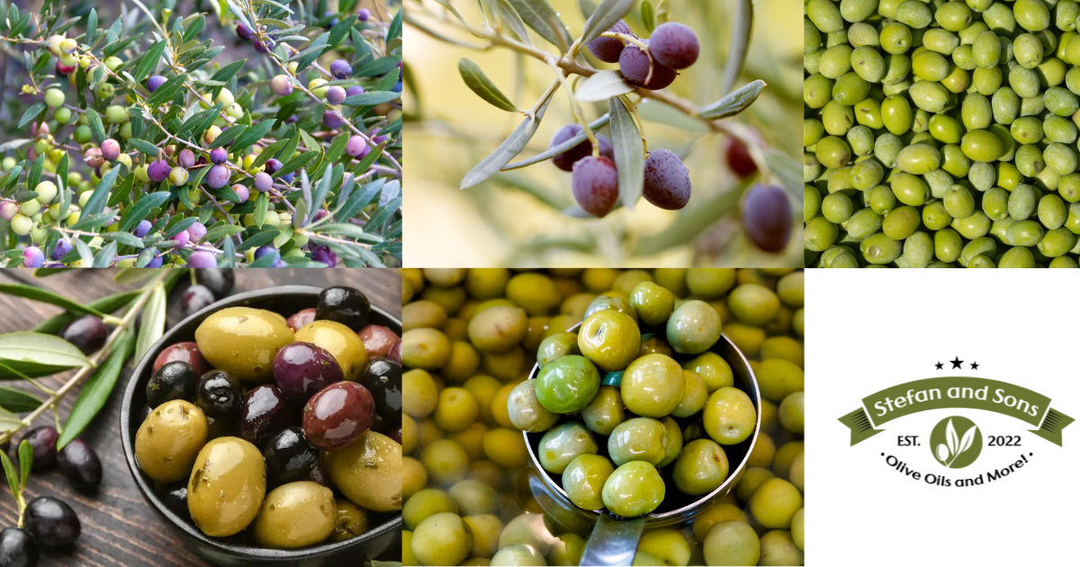 Best Olive Varieties for Extra Virgin Olive Oil | Stefan and Sons | by ...