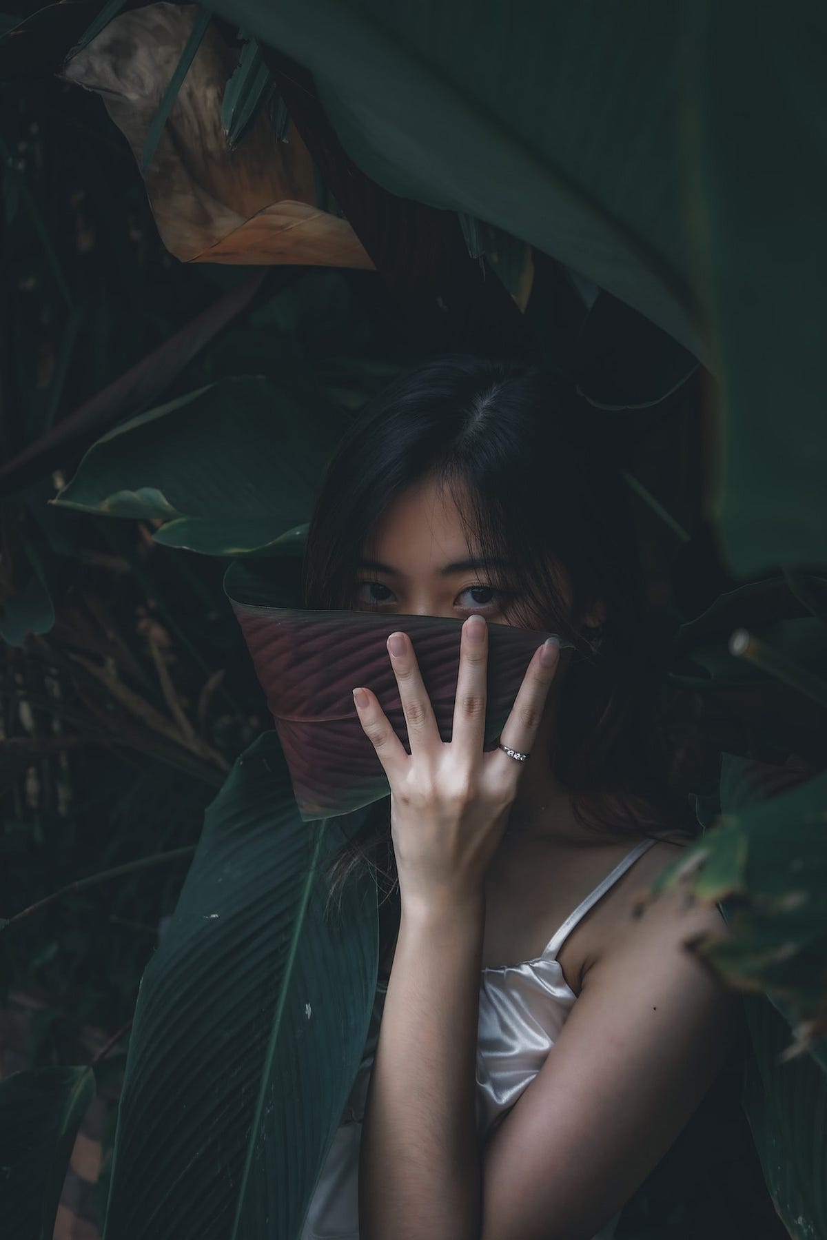 Hiding in Plain Sight. A Poem | by Jillian Spiridon | Medium