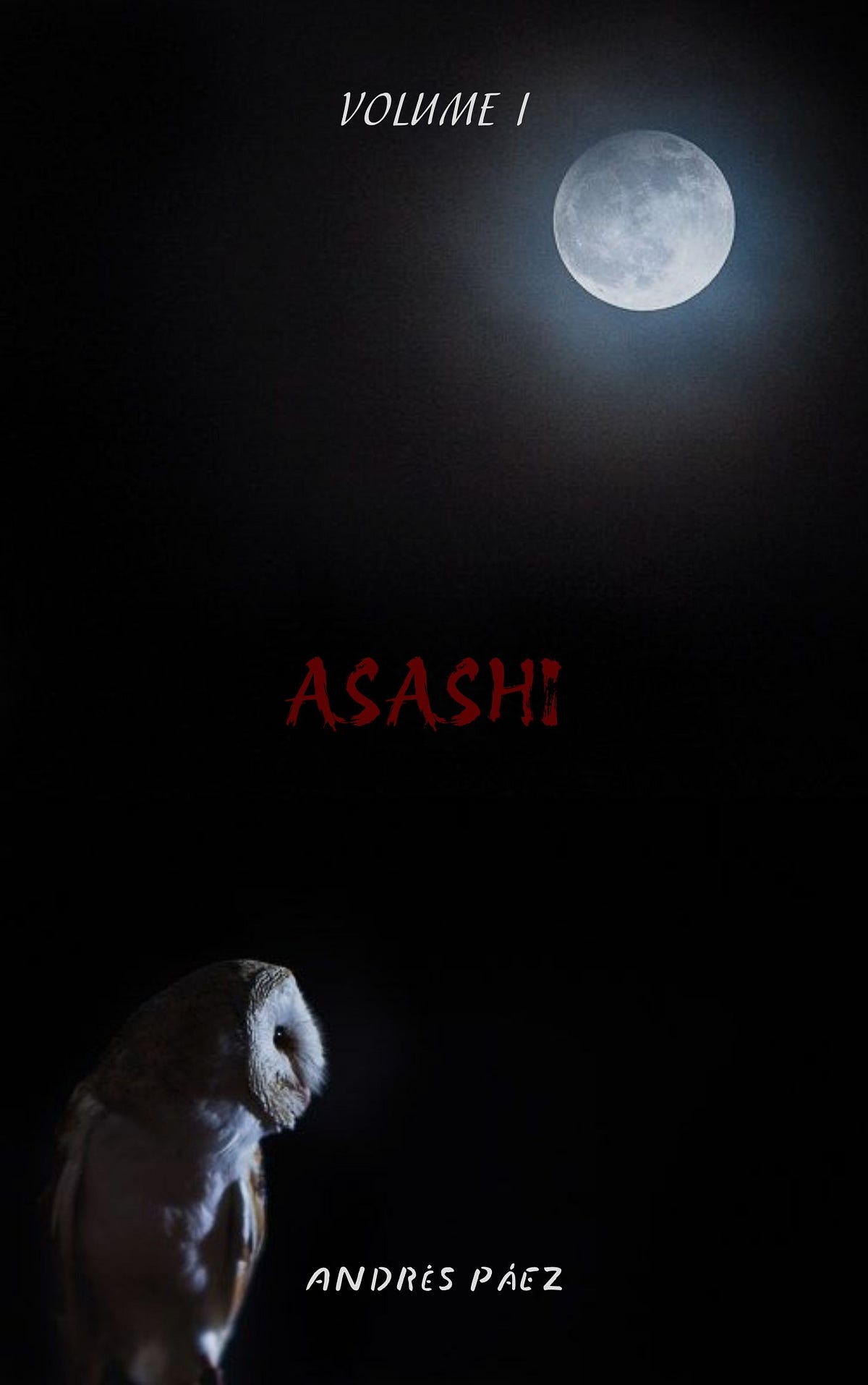 A Ninja Horror Tales: Asashi in “The Castle of The Owl”. | by Andrés ...