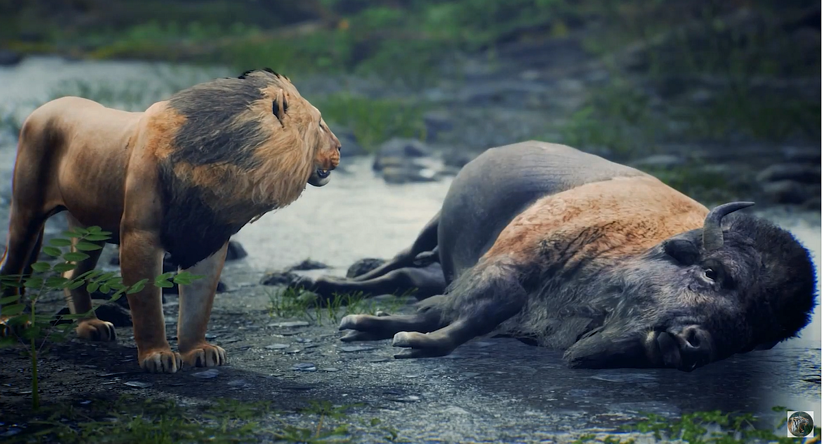 Who will Win? Bahubali Bull vs Lion | Lion Attacks Bison | Forest ...