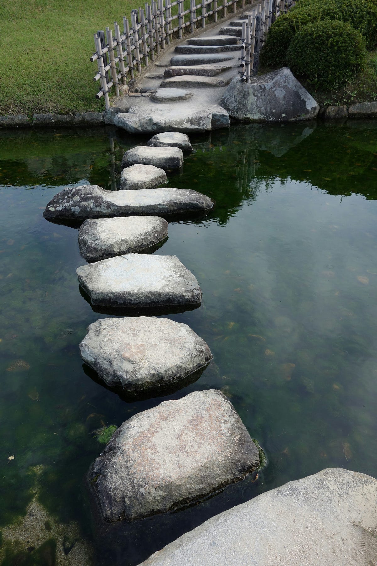 Why Family Patterns Run Deep and How You Can Rise Beyond Them | by Barb ...