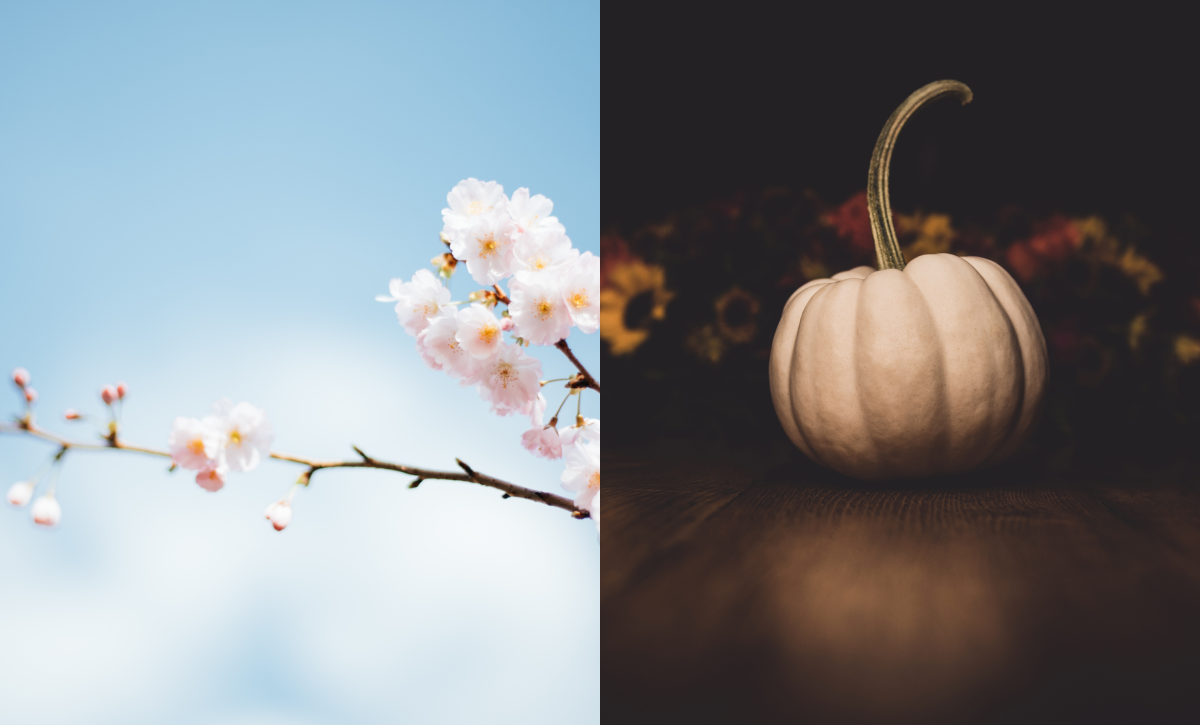 Sass mixin to have multiple theme based background images | by Thimo ...