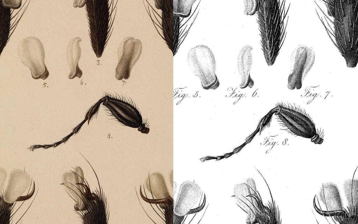 Science in the Making — introduction | by Tom Crane | digirati-ch | Medium