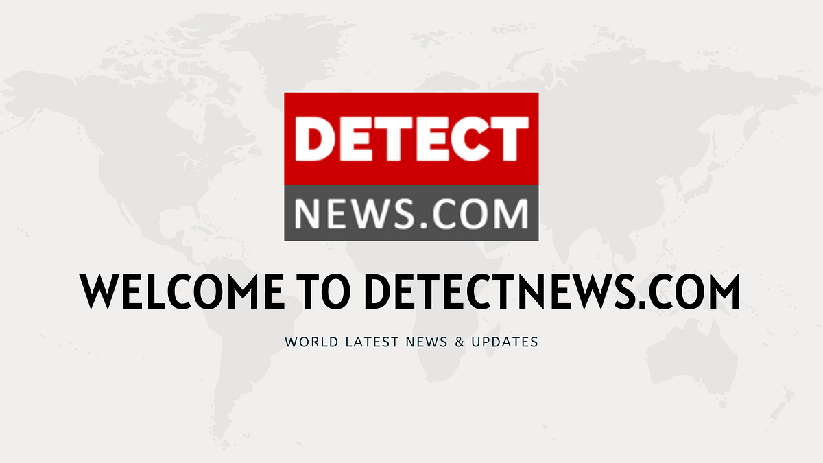 DetectNews.com. DetectNews.com | by Detect News | Medium