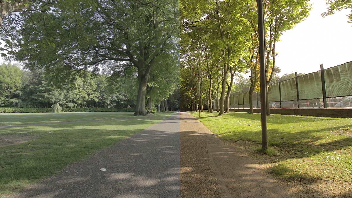 Comparing Colours. Why Technicolour is So cool | by Thomas Arnold | Medium