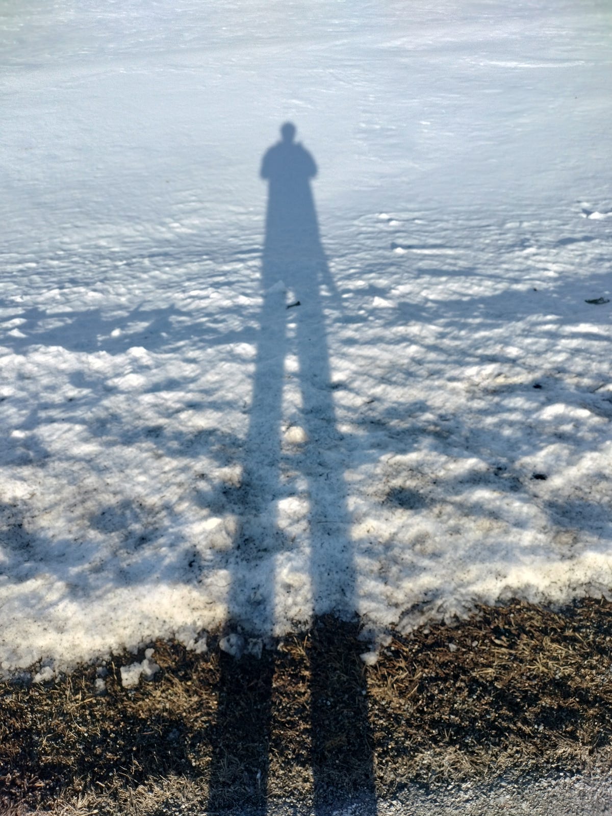 Darkness Casts a Bright Shadow. Poetry and more | by Marcus aka Gregory ...