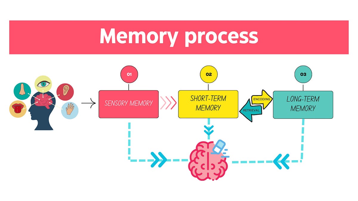 HOW TO REMEMBER WHAT YOU READ. All we know is that our memory is… | by ...