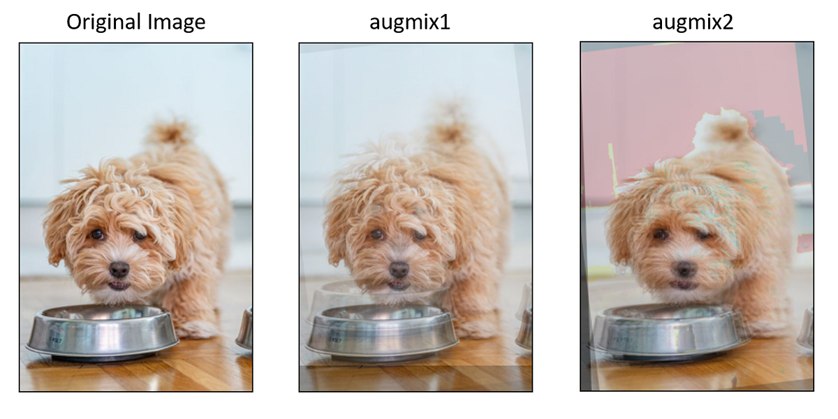 Enhancing the Robustness of Image Classification Models with AugMix | by Lihi Gur Arie, PhD ...