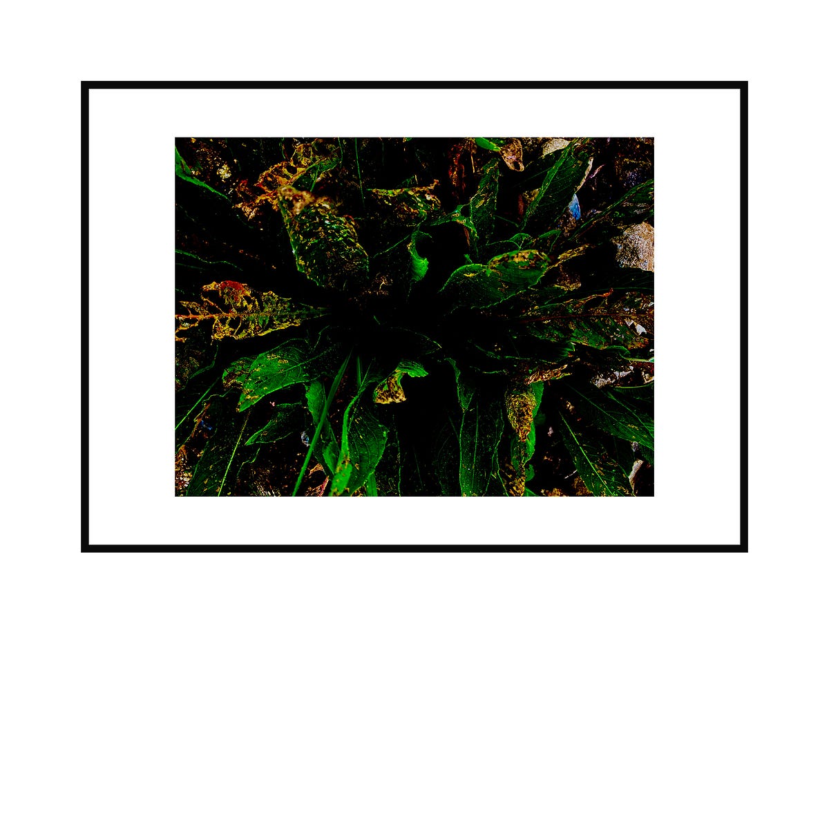 Daily Artwork - Real Lee - Medium