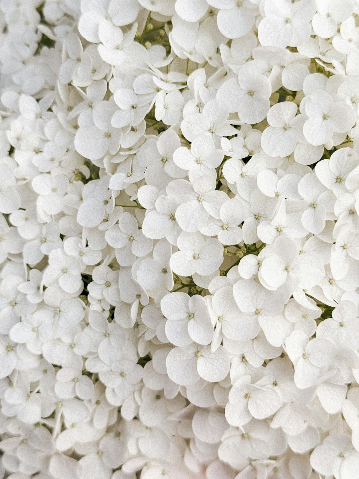 Snowpiercer Plot Analysis: Train Length Discrepancy | by Ingvar Grijs ...