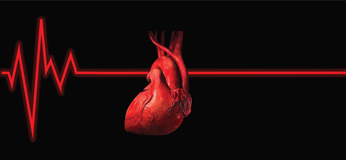 Women Get Worse Medical Help for Heart Disease and Heart Attacks | by ...