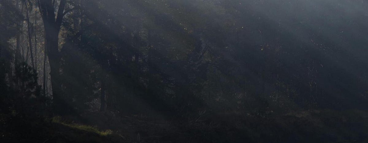Run, Run - Rooms Of Light - Medium
