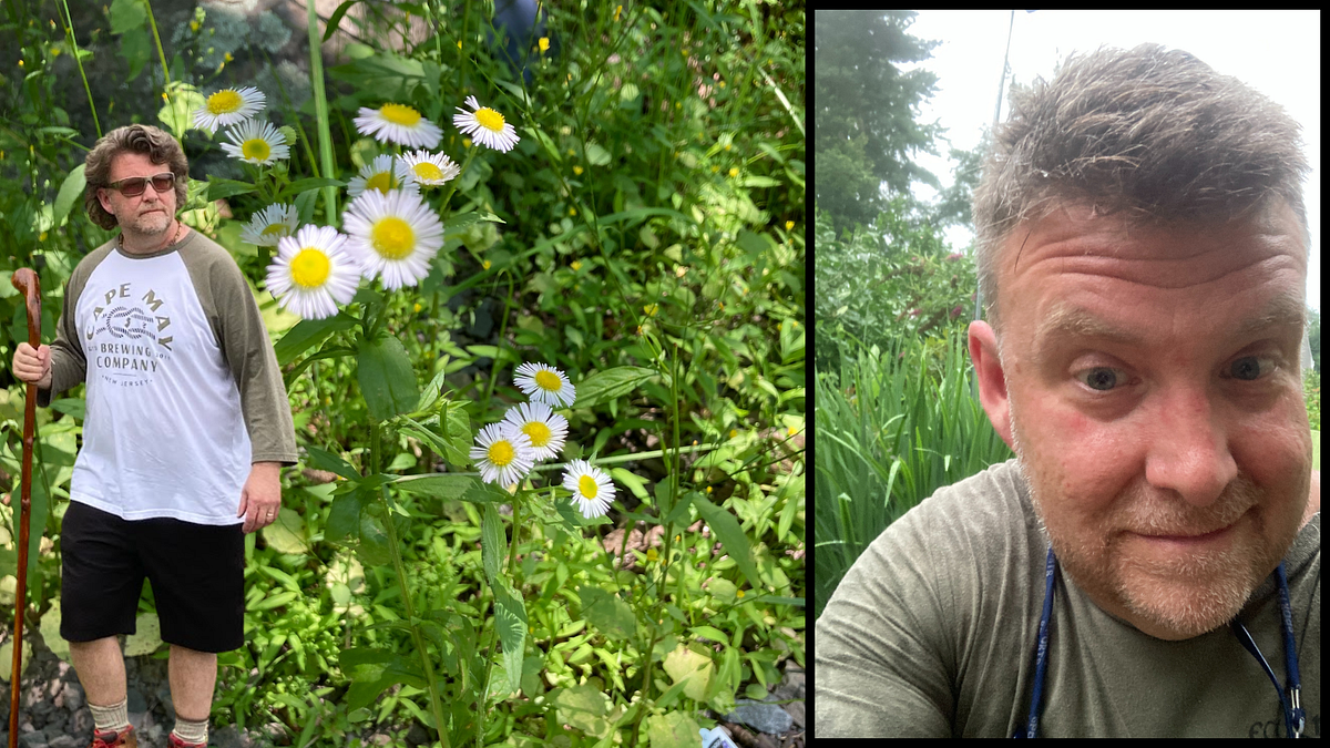 Life Finds a Way: A Wildflower’s Story | by Walter Bowne | Publishous | Jul, 2025 | Medium