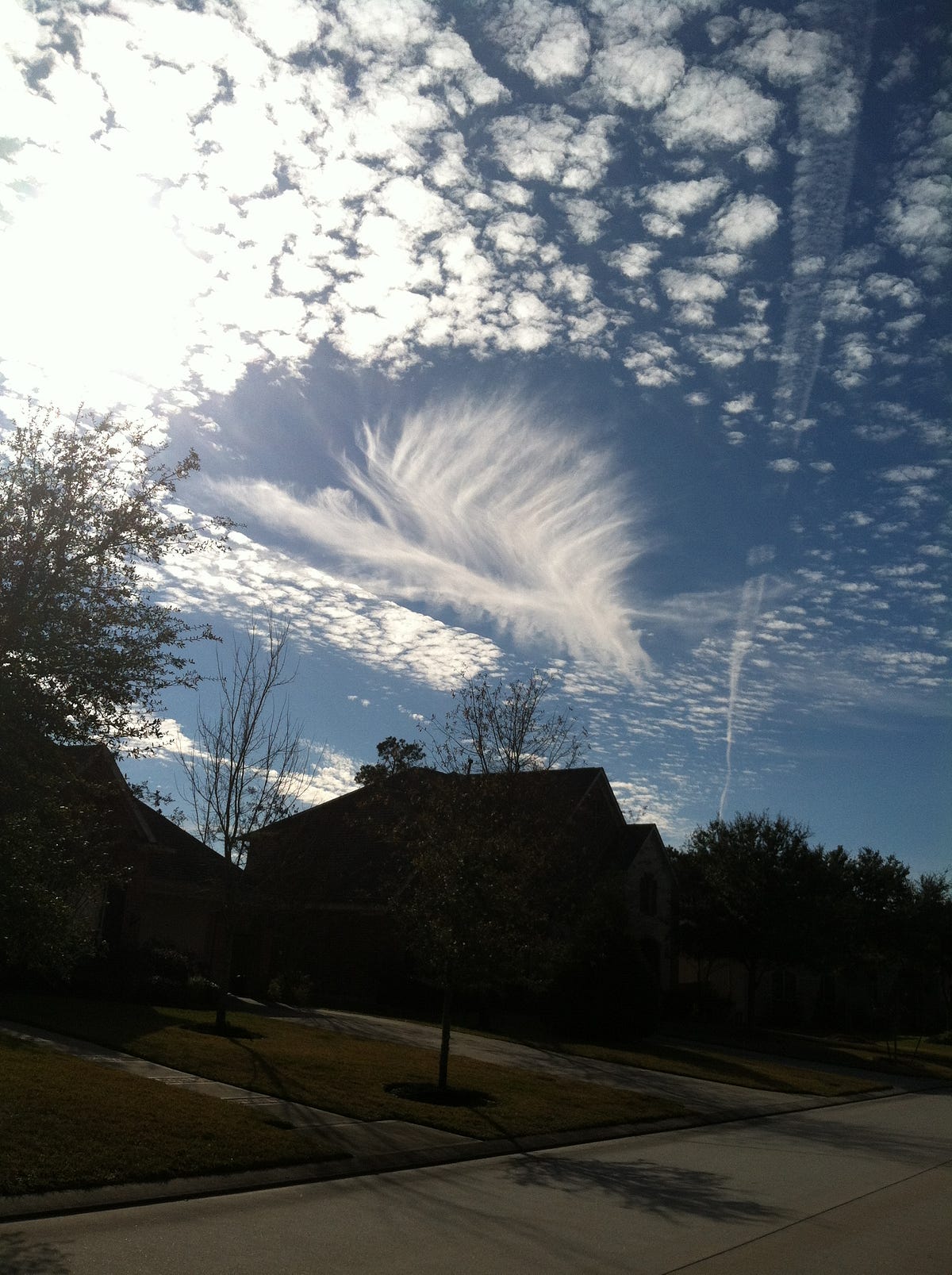 Integrity. “I will walk within my house with a… | by Pamela Reilly ...