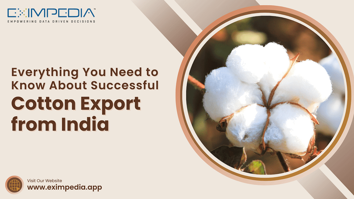 Everything You Need to Know About Successful Cotton Exports from India ...