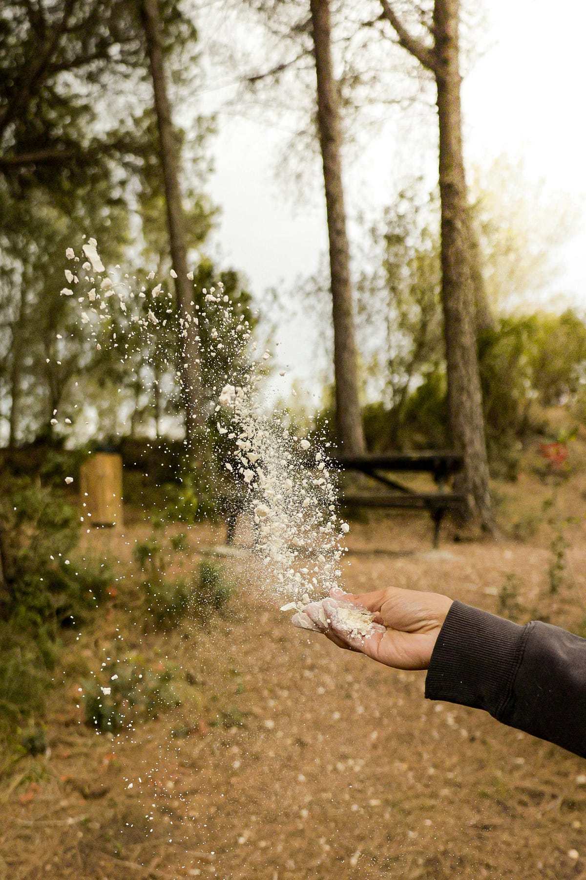 Can You Scatter Ashes Anywhere? A Guide to Rules and What to Know | by ...