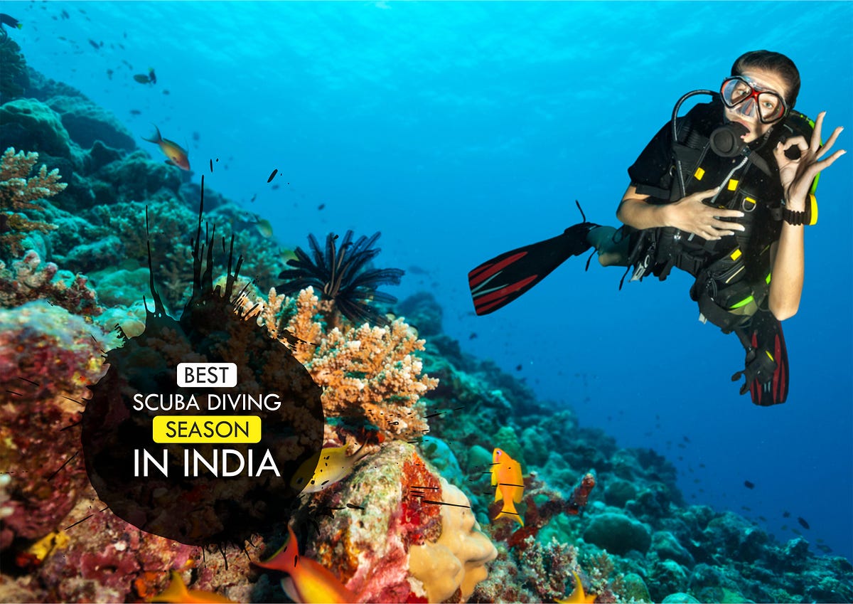 Best SCUBA Diving season in India | by Absolute SCUBA India | Medium