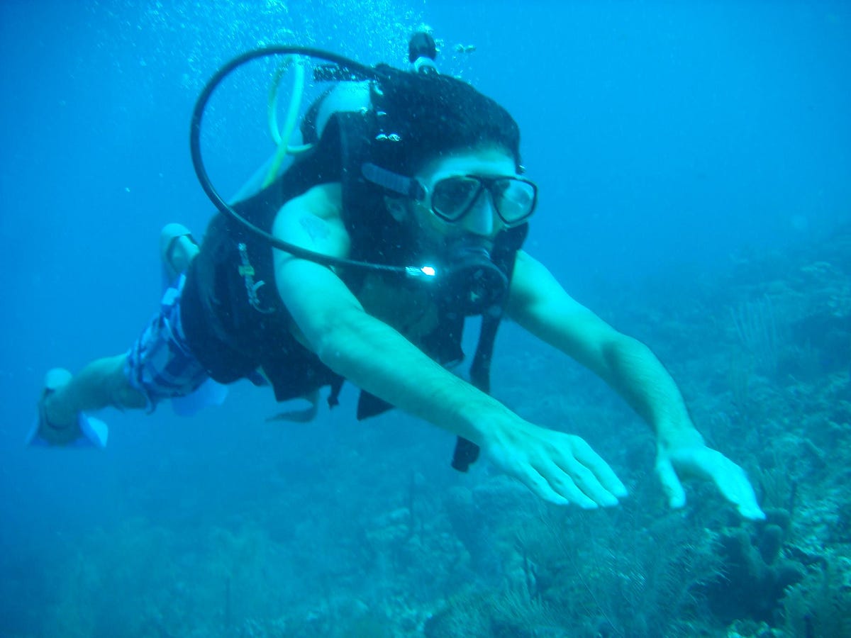 Dive. Reverie in blue | by Javier Gómez | Haiku Hub | Medium