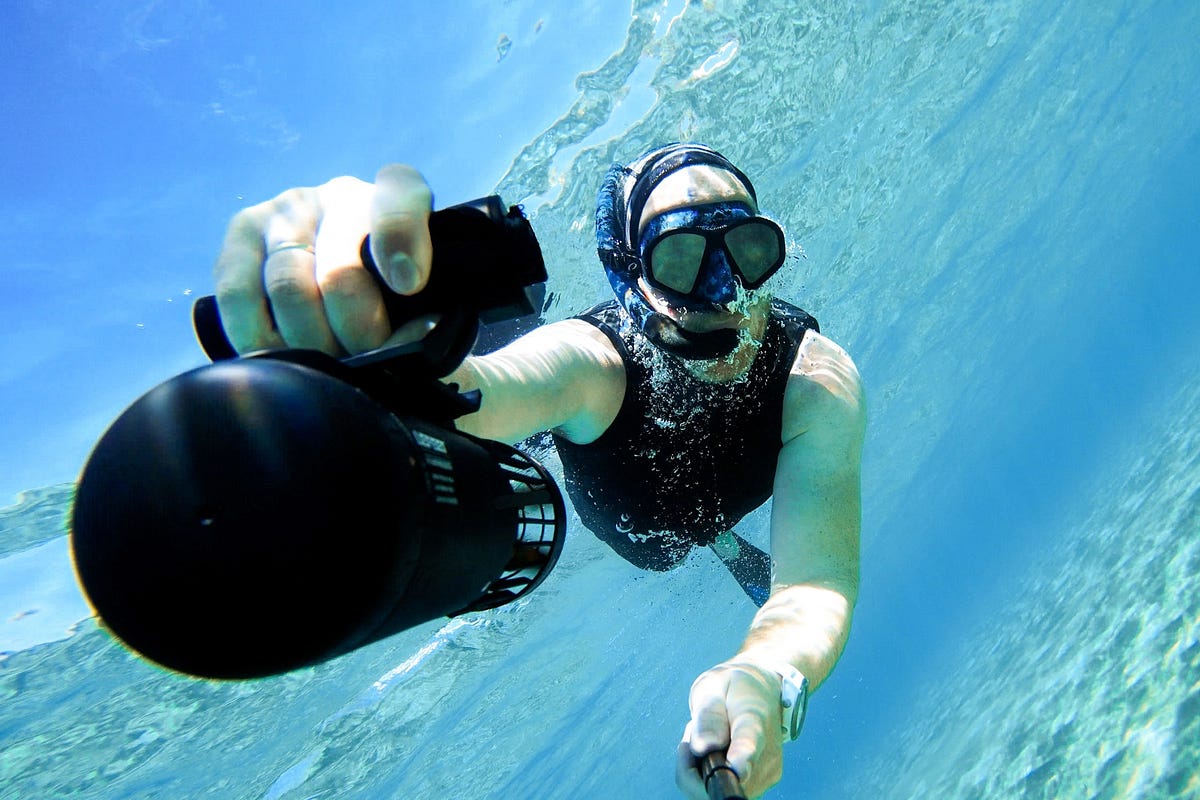 The Thrill of Exploring the Underwater World with a Professional ...