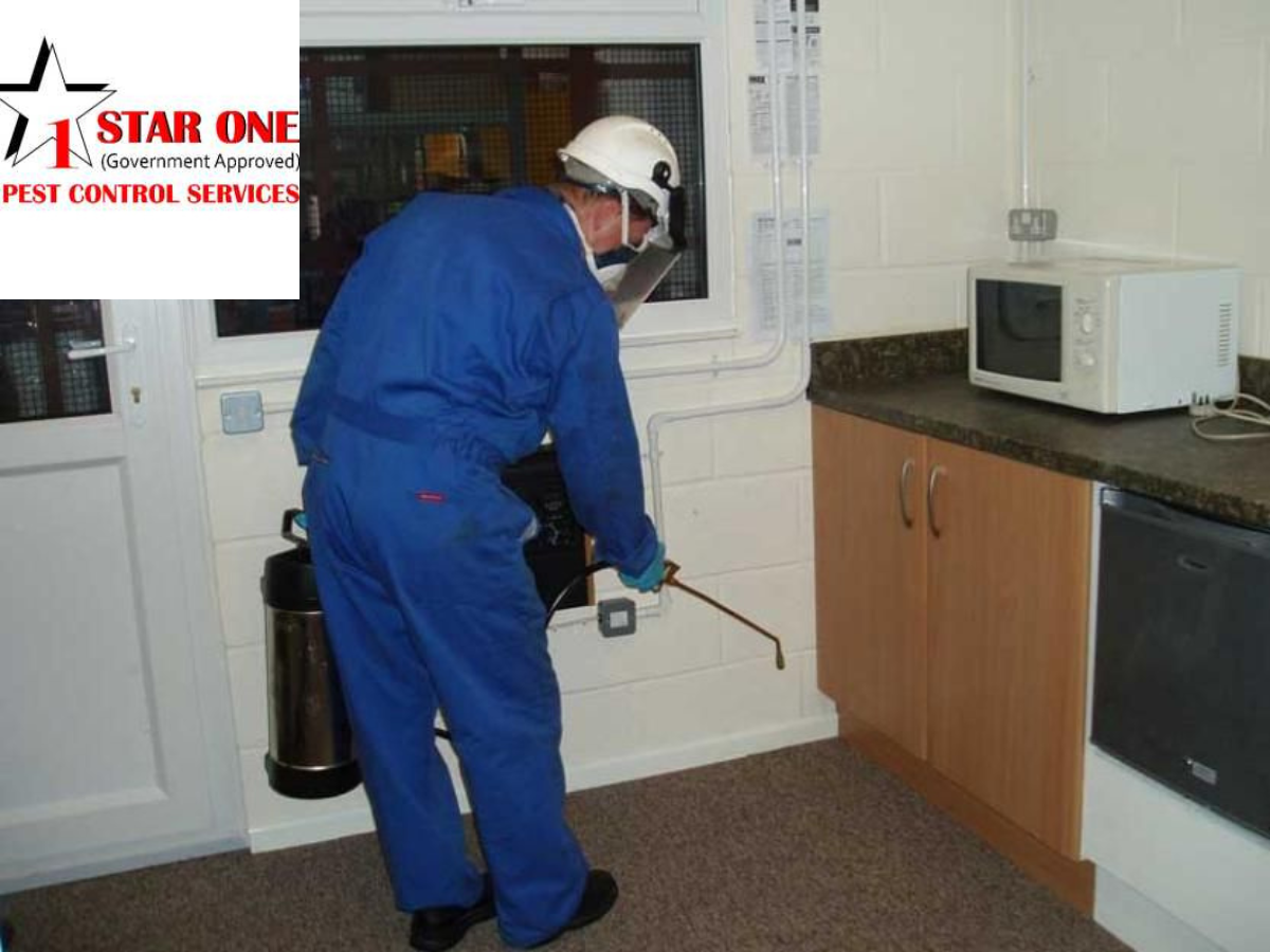 Pest Control Services in Thane - Star 1 Pest - Medium