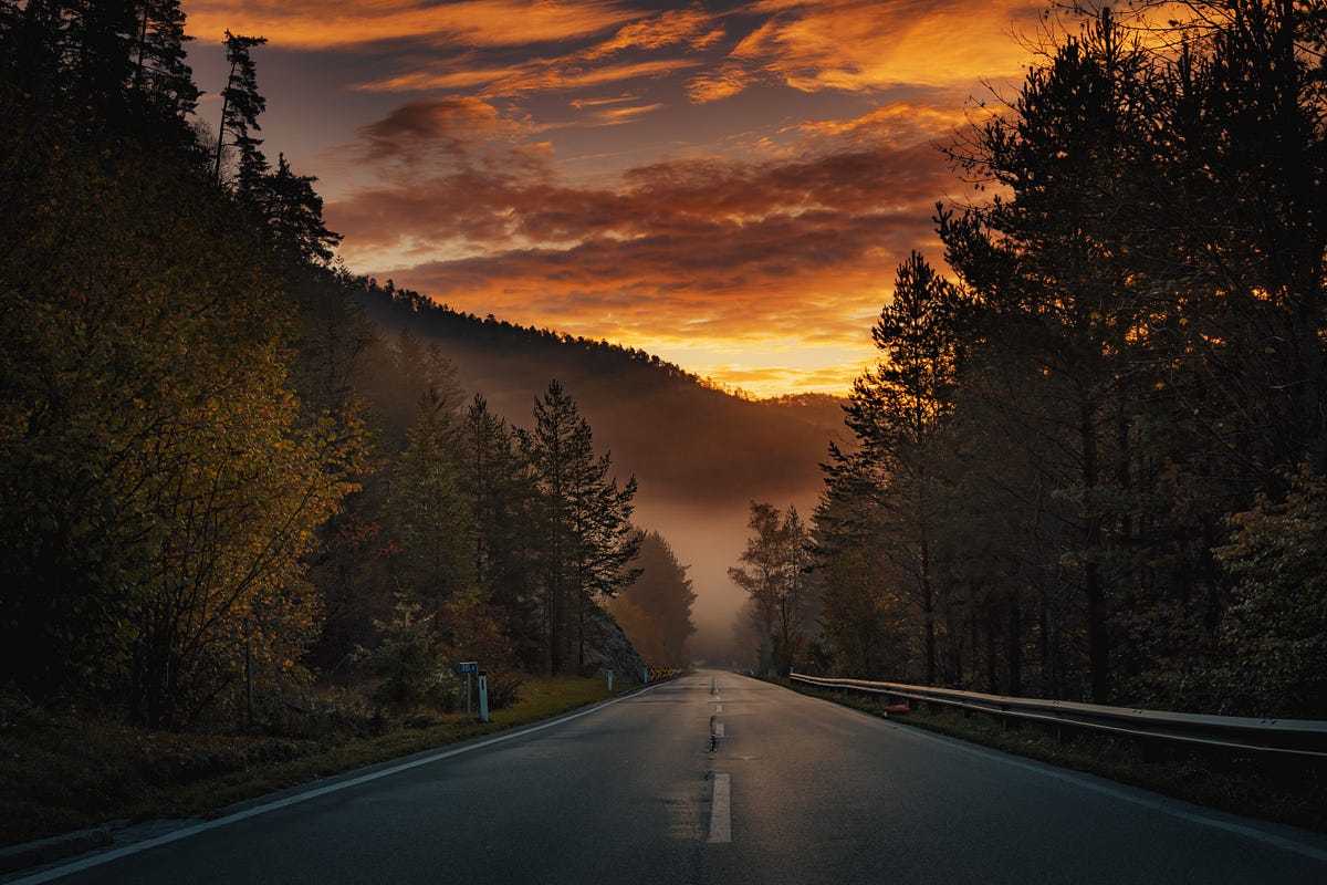Bus Ride From Hell | by Sierra McGary | Sawtooth Investigative Journal