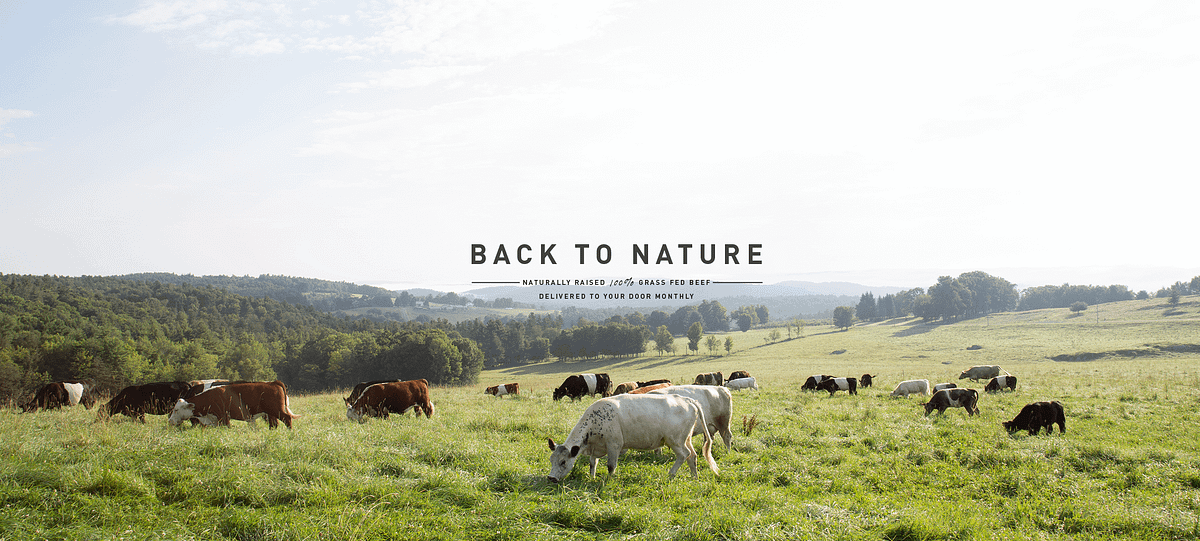 All About ButcherBox. Interview with Co-Founder Mike Filbey | by ...
