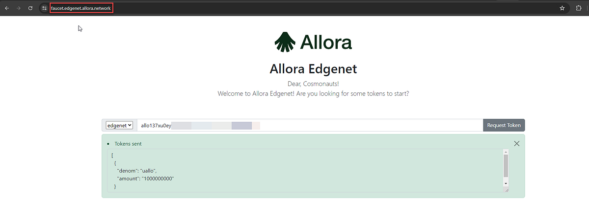 Allora Worker Node TShoot. This document has been written to… | by casual1st | Jul, 2024 | Medium