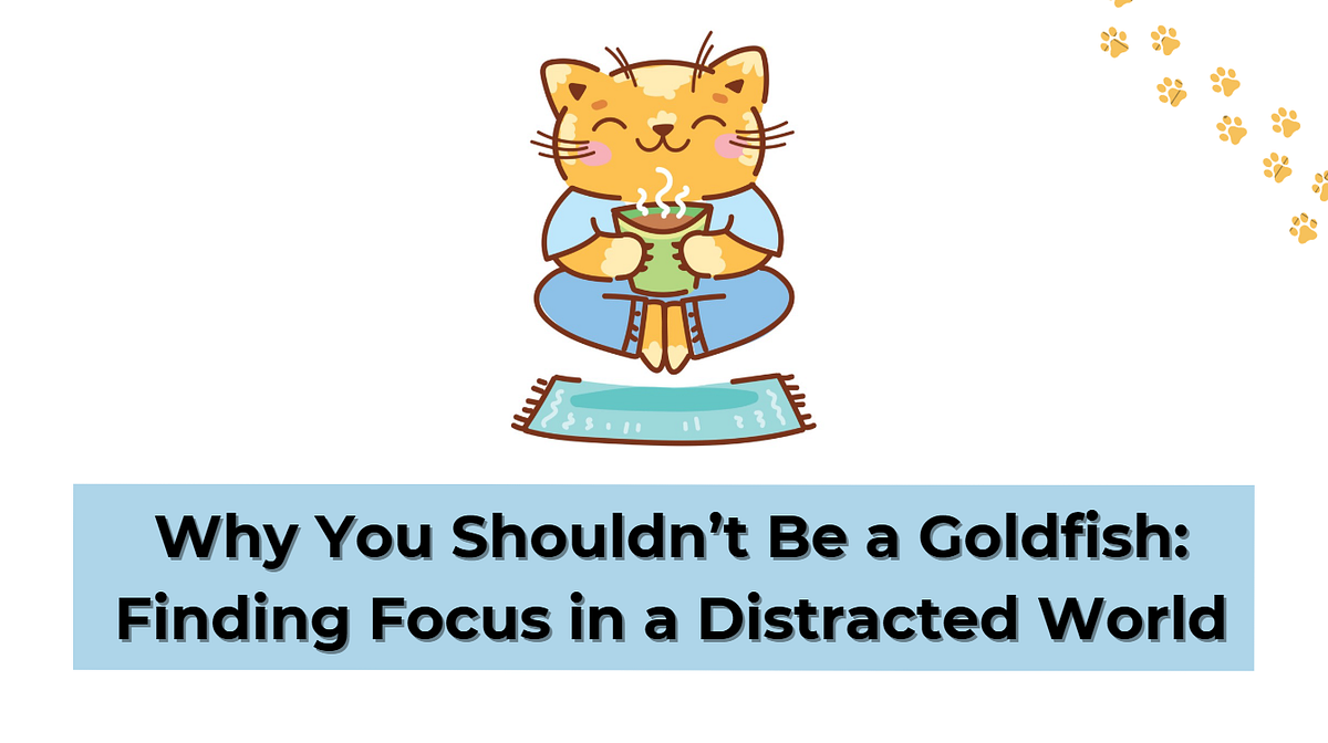 Why You Shouldn’t Be a Goldfish: Finding Focus in a Distracted World ...