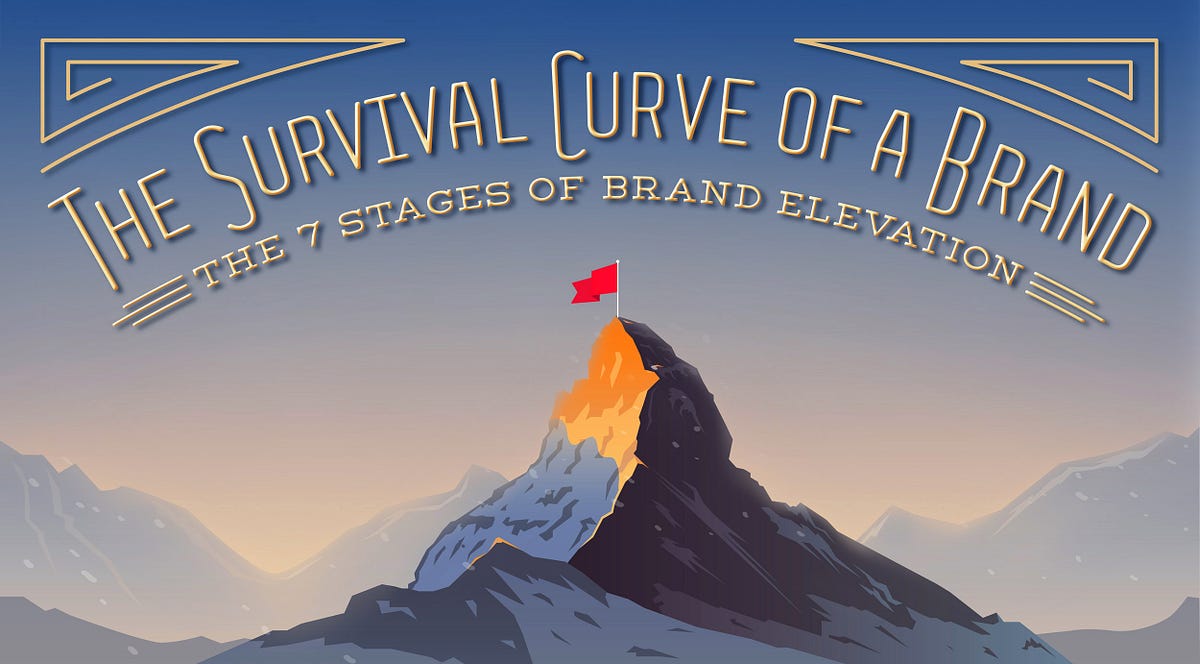 The Lifecycle of a Brand: 7 Vital Signs You Need to Know | by David ...
