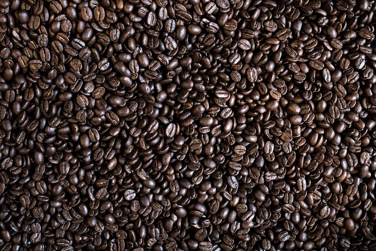 The Kenyan Coffee Tour Experience! | by Ziada Travels | Medium