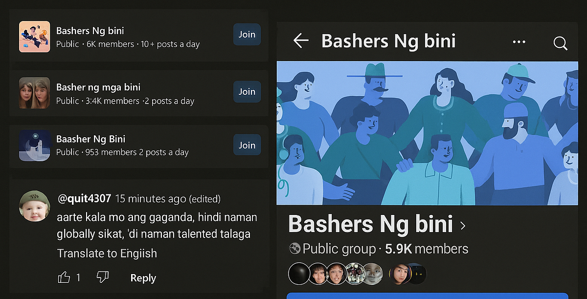 When hate becomes a Hobby. BINI may be a music group. But what… | by ...
