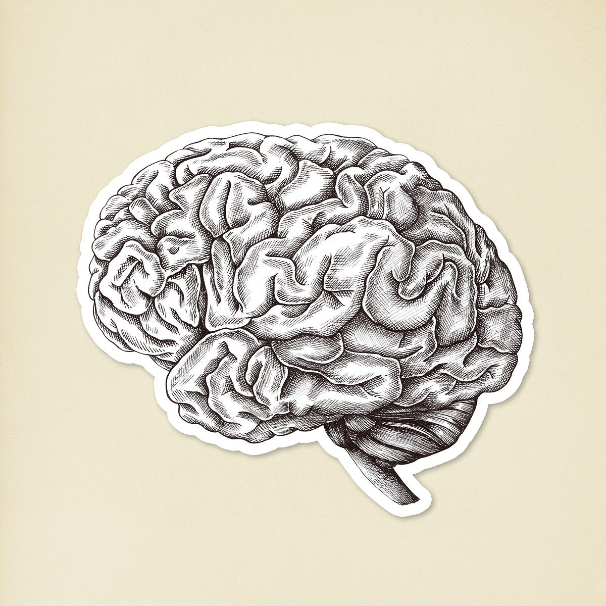 El Cerebro Vacío, un Ensayo. Lo que atrajo mi atención fue el título ...