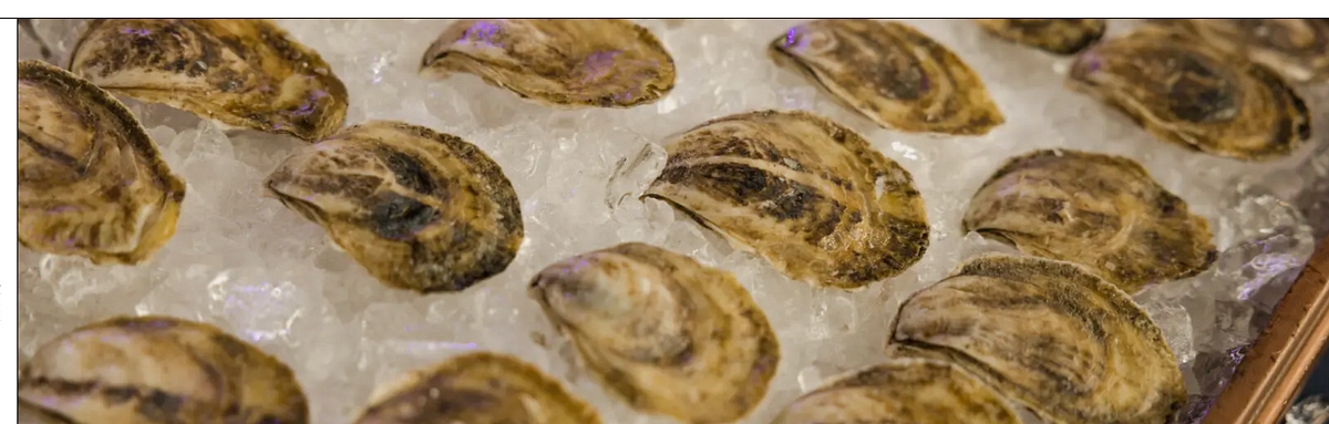 100 MILLION OYSTERS AND COUNTING. Behind The Billion Oyster Project’s ... 100 MILLION OYSTERS AND COUNTING. Behind The Billion Oyster Project’s ...