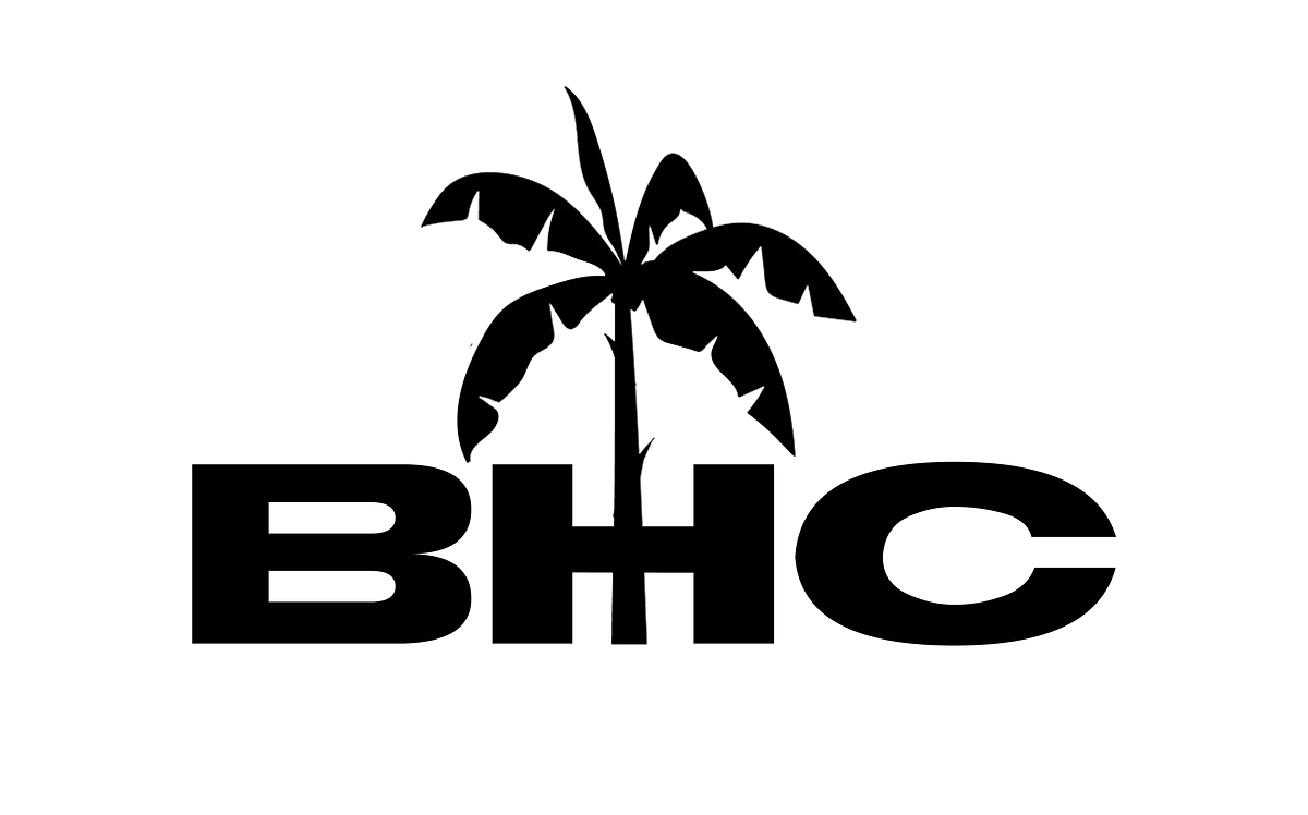 Bored Hash Club WHITE PAPER V1.0. My interest in art started at a very ...