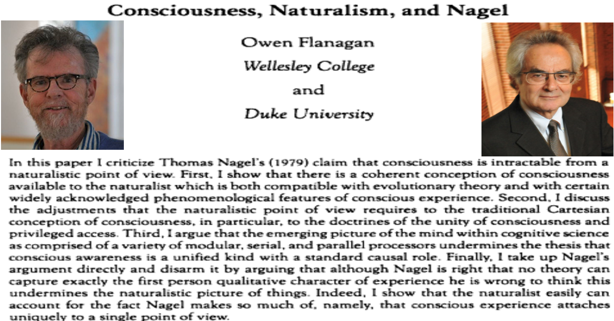 Yes, Thomas Nagel, x can’t know what it’s like to be y | by Paul Austin ...