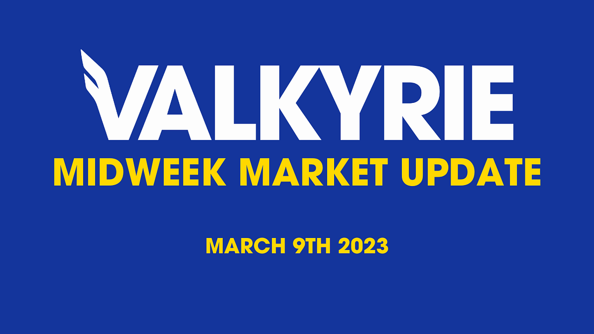 Macro Headwinds Increase - Valkyrie Investments - Medium