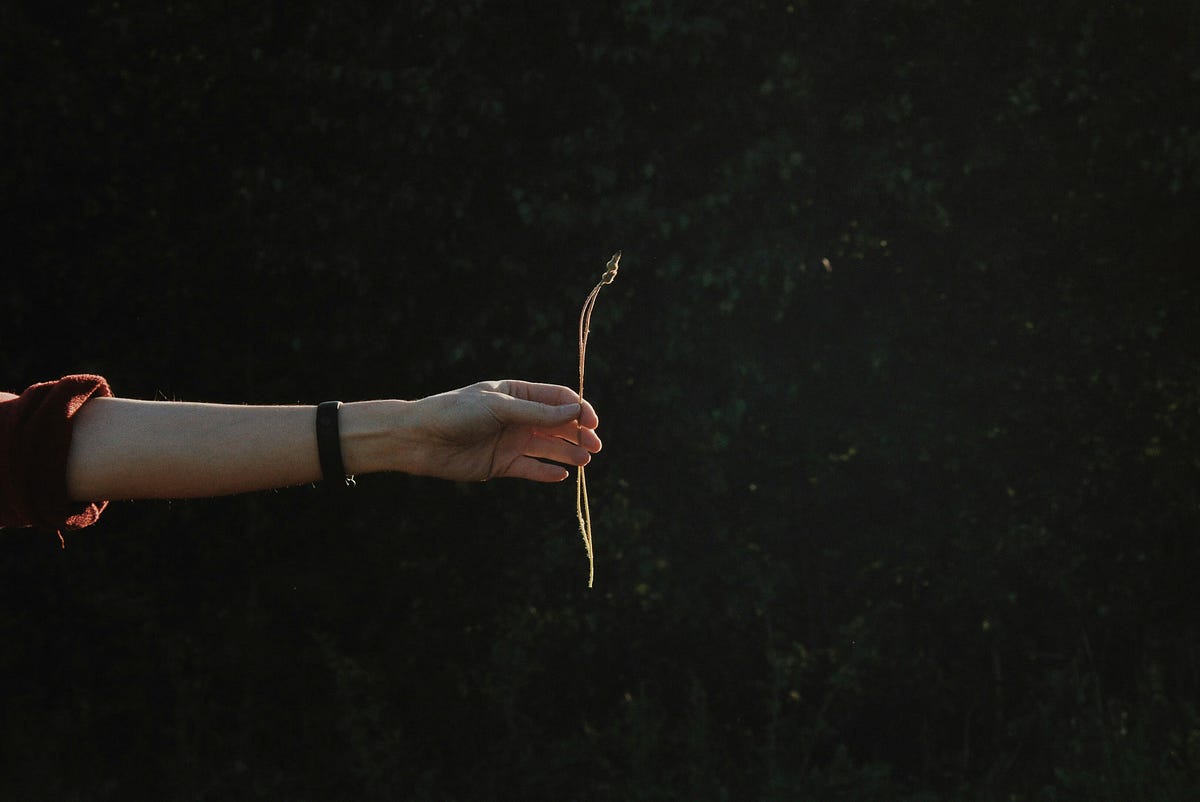 Hooks in Playwright…. What are hooks in Playwright? Why are… | by Shaik ...