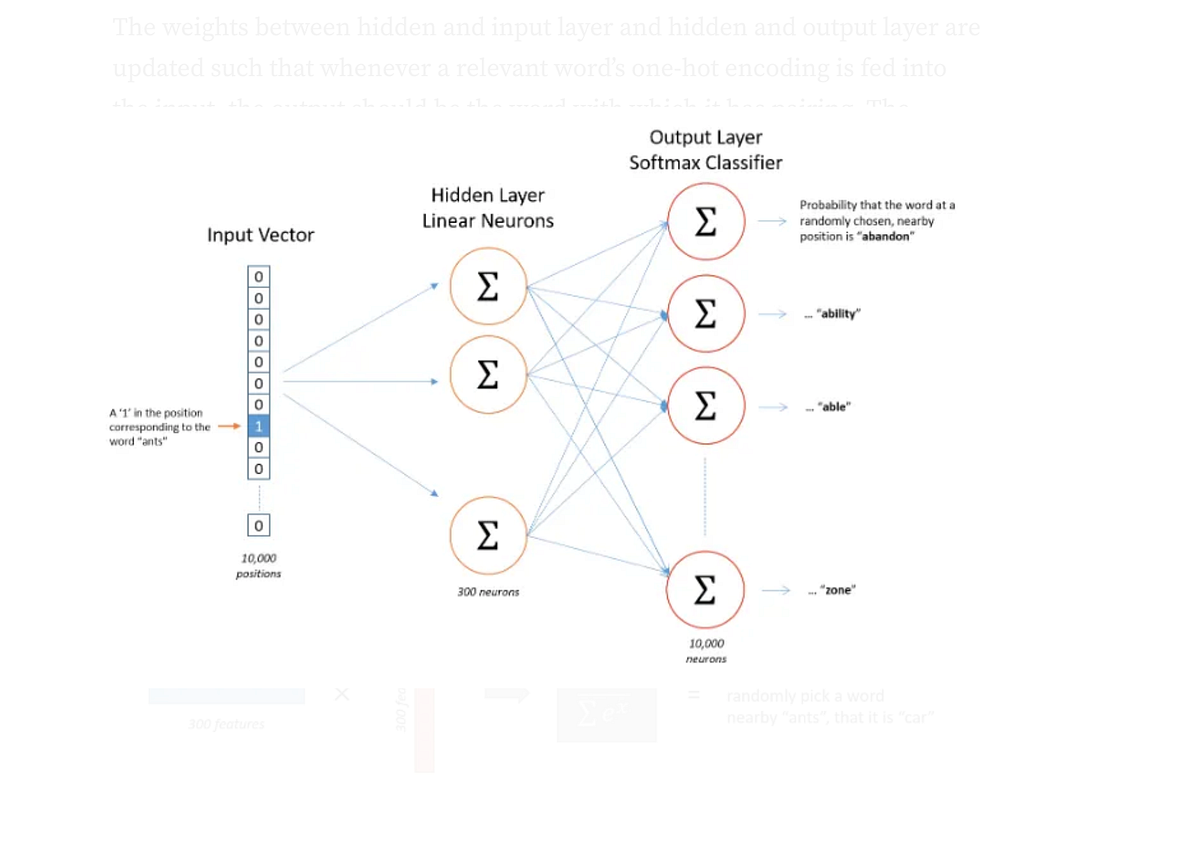 Cracking the Code of Language with Word2Vec | by Shrinath | Nov, 2023 | Medium
