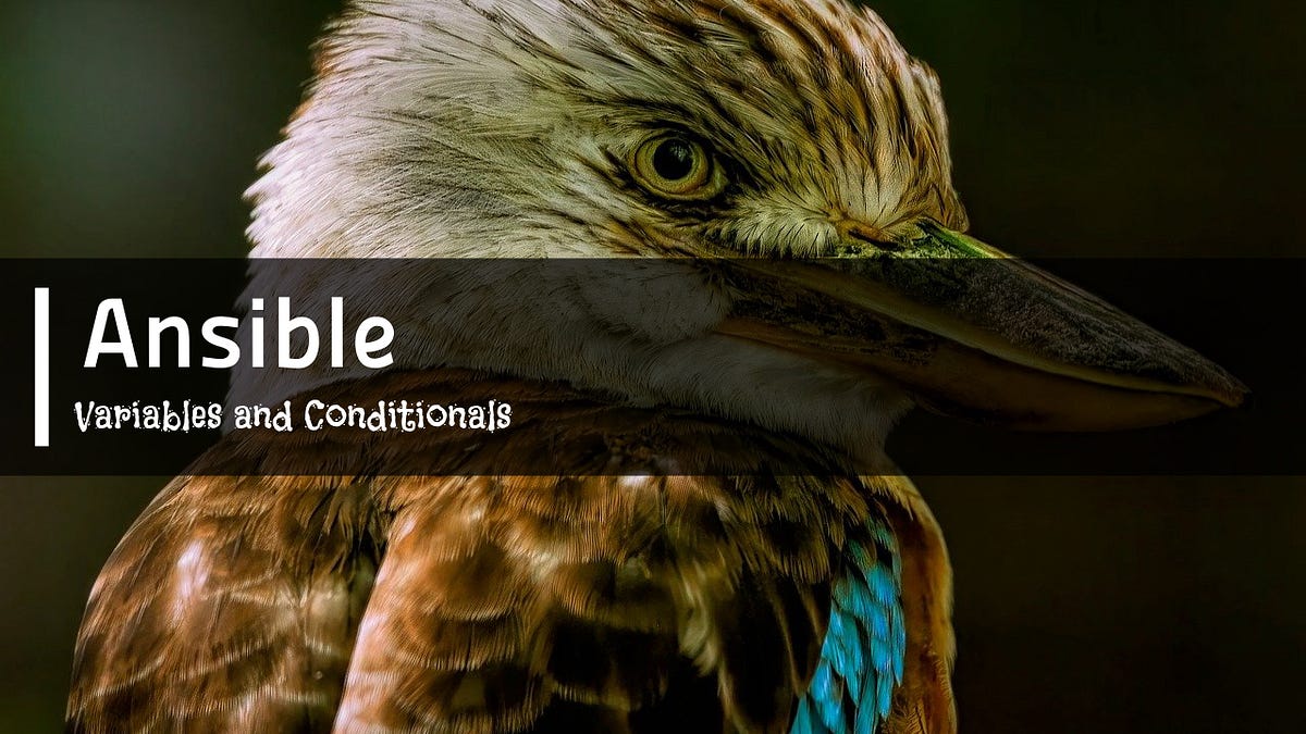 Unraveling Ansible: Mastering Variables and Conditionals | by ... Unraveling Ansible: Mastering Variables and Conditionals | by ...