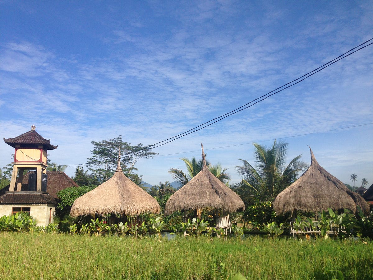 #22 How I moved to Ubud. To read the previous chapters of my… | by ...