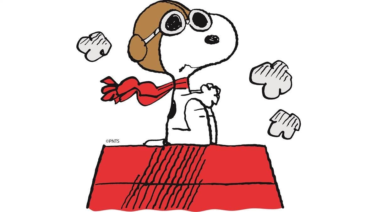 2 | Snoopy Takes Off! - The Exhibit 2020 - Medium