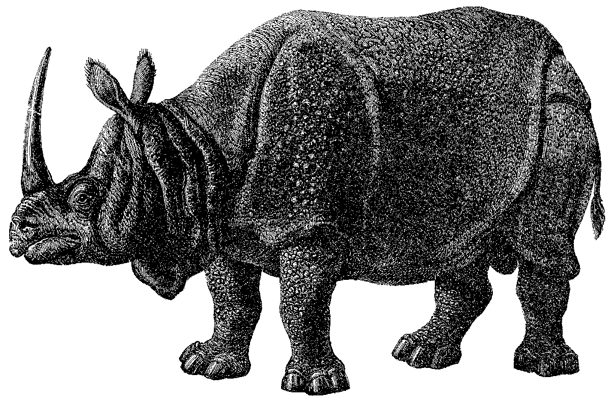 Javascript Conventions and Best Practices | by Jorge Moller | Medium