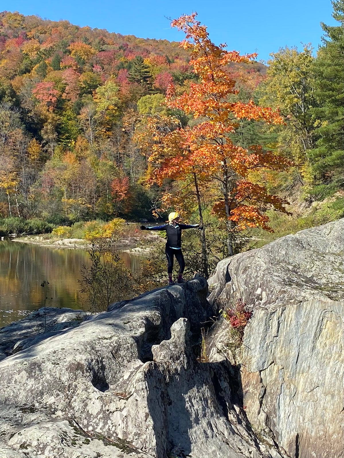 For Decades, My Writing Mantra Was Never Give up. Then I Gave up | by ...