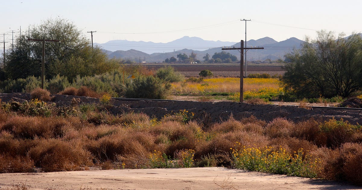 Holiday Dread: The Desert. Celebrating togetherness in the… | by Zan ...