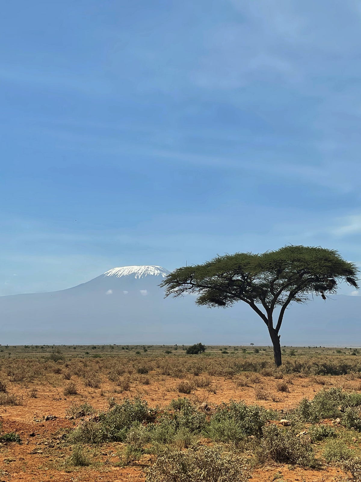 Kenya | 10 Day Itinerary. Though I always wanted to go to the… | by ...