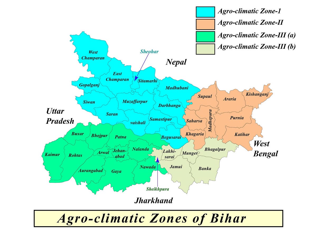 Identifying Crops in Early Stages: Solutions | by Jai Krishna | DeHaat
