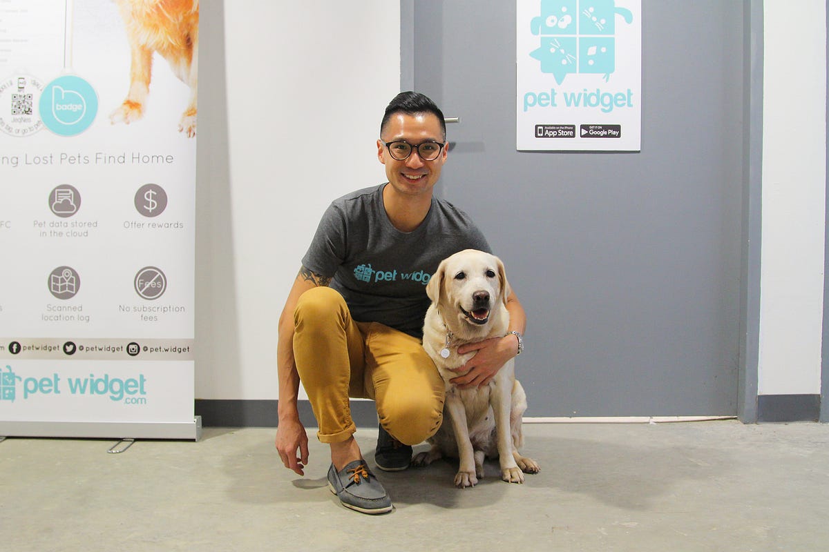 Transforming the Animal Welfare Ecosystem: A UX Case Study | by Yan ...