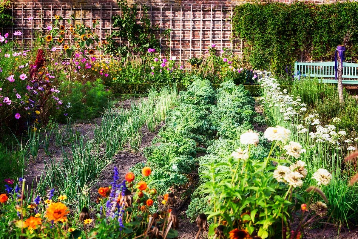 How to Plan a Garden for Year-Round Harvest | by Afsana Meena | Nov ...